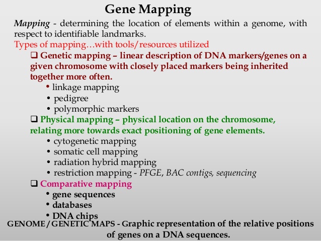 Gene mapping